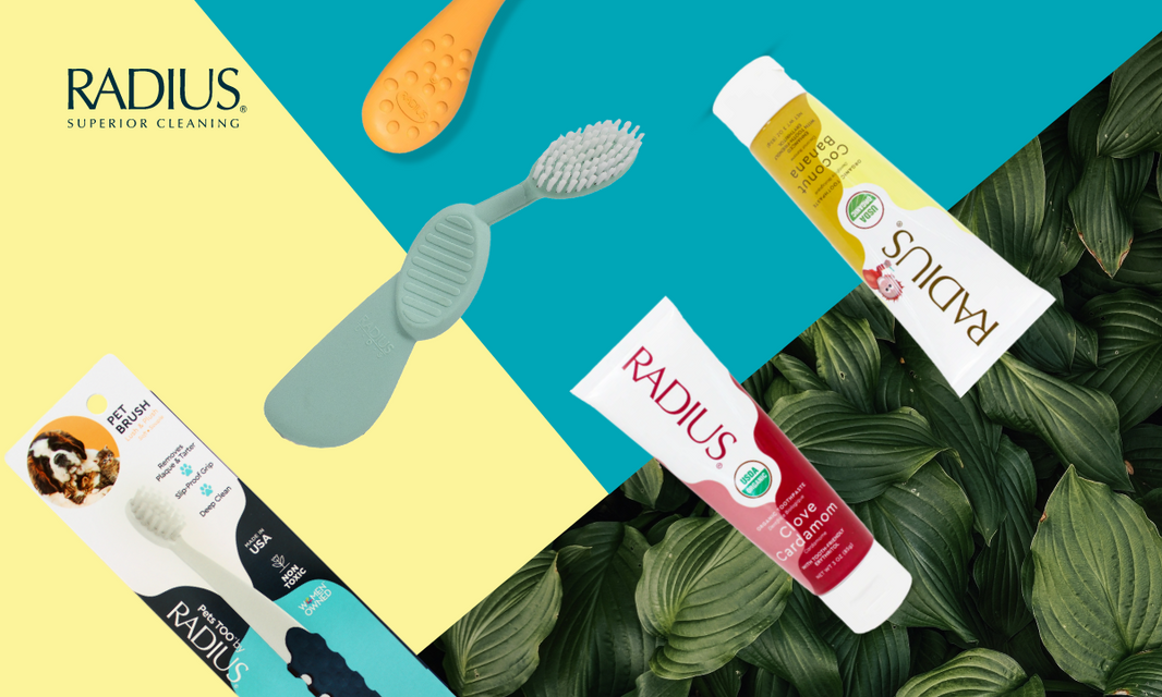 RADIUS Blog: Learn about Toothpaste, Toothbrushes and More