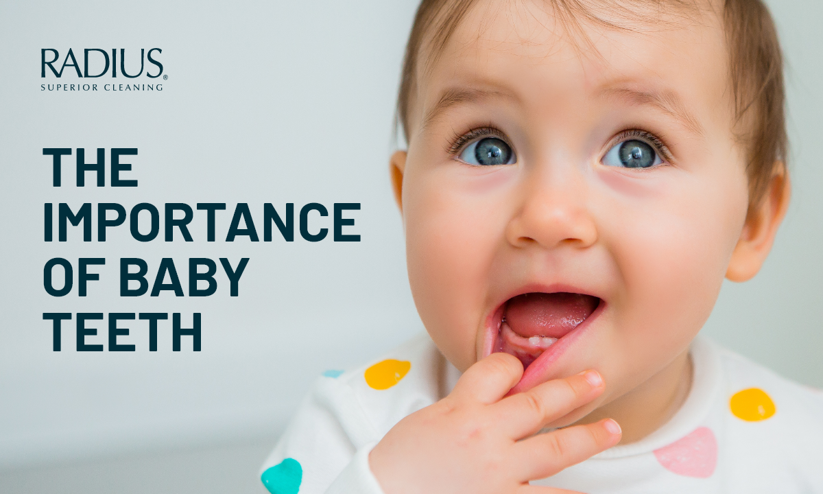 The Importance of Baby Teeth: Why They Deserve Gentle Care