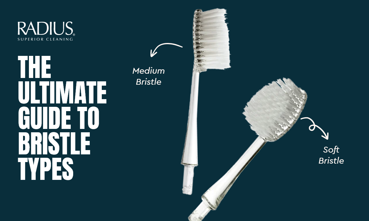 What Makes Bristle Types Different