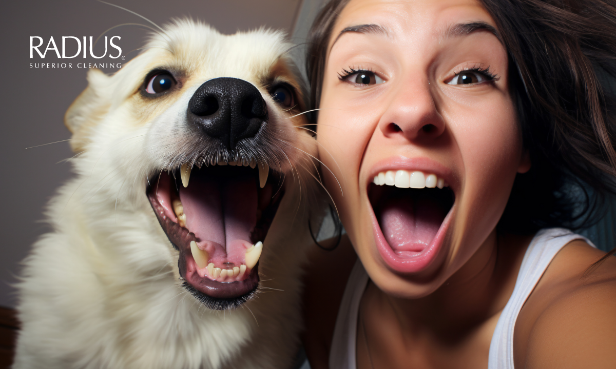 Understanding Your Dog’s Oral pH & Safe Home Cleansers