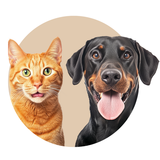 OralPro+ Pet Probiotic Enzymatic Water Additive