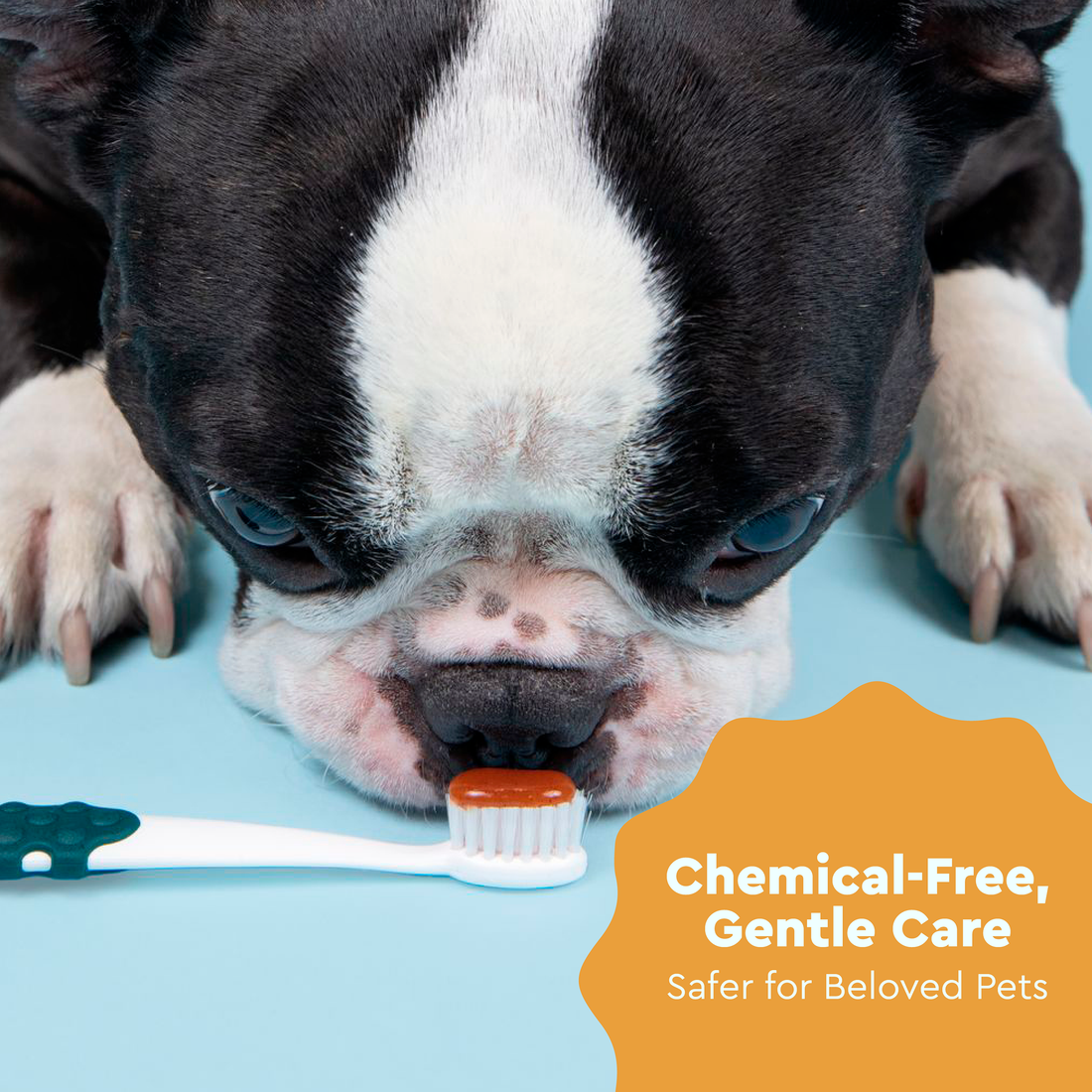 USDA Organic Canine Toothpaste