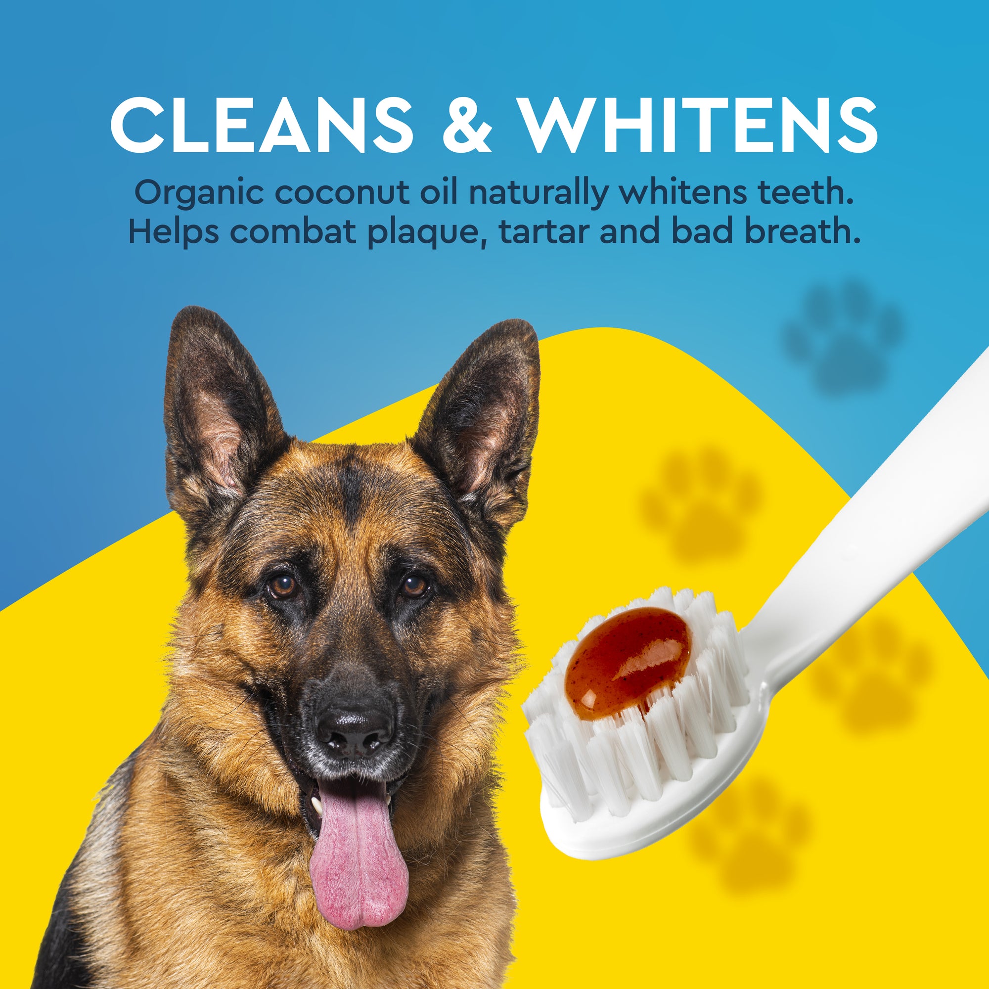 Best Dog Toothbrush and Toothpaste