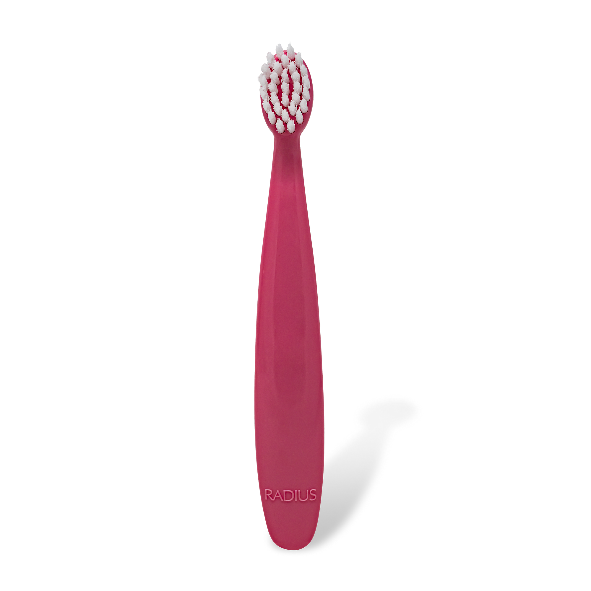 Toothbrush kits: The Perfect Holiday Gift!