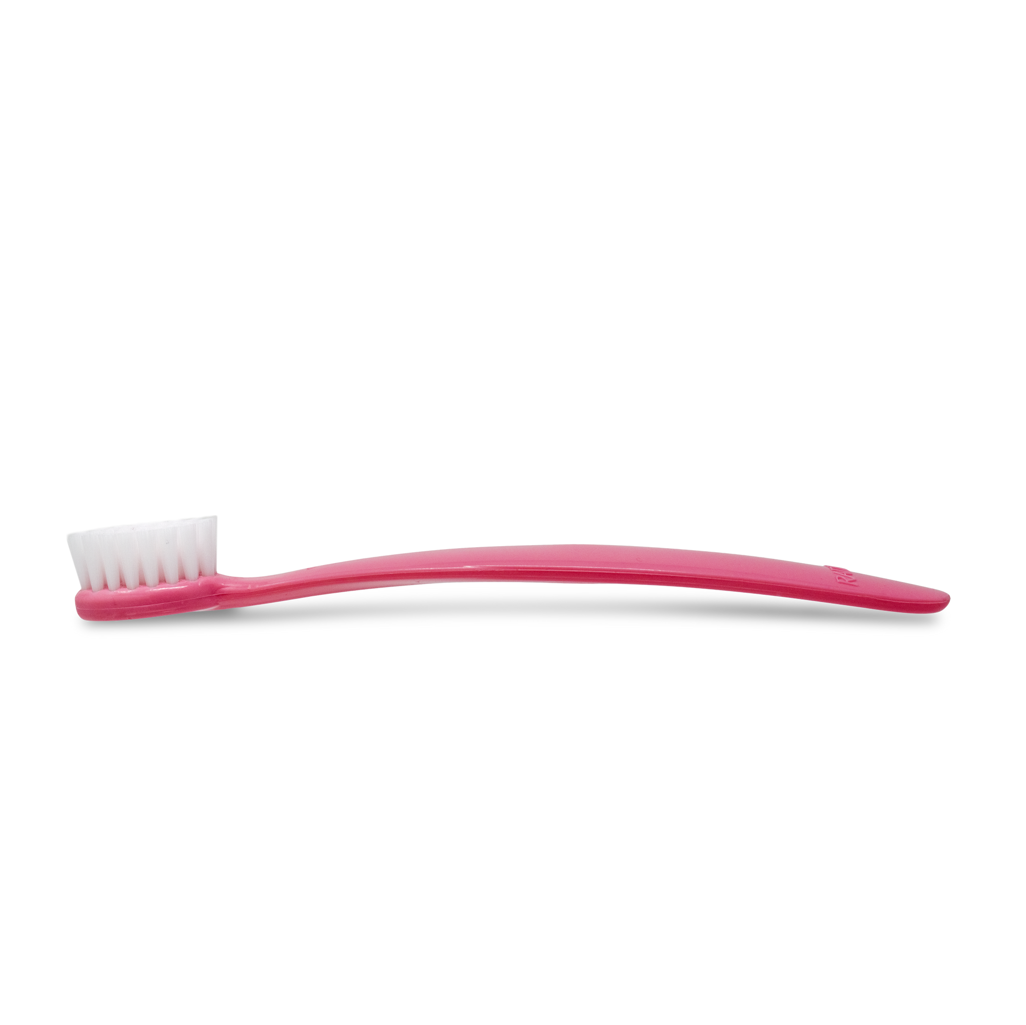 Toothbrush kits: The Perfect Holiday Gift!